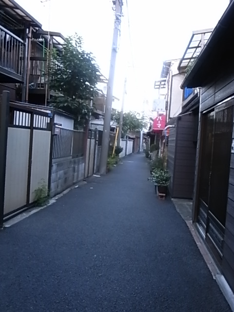 ペケ市: kepo kepo kopon